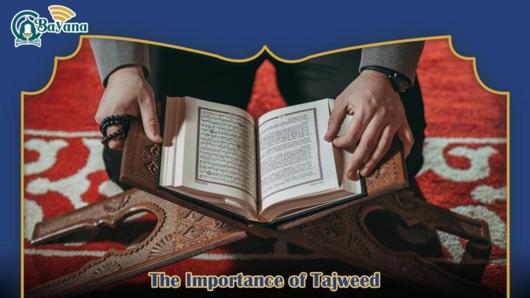 Best Quran Lessons for Beginners: Step-by-Step Guide 2025